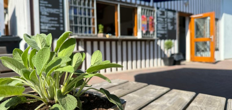 Freibad | Gemeinde Schmitten